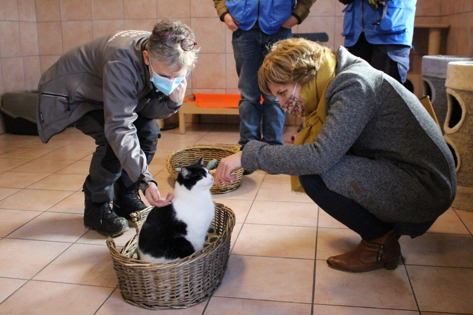 Aider les refuges ! - info-lux.com