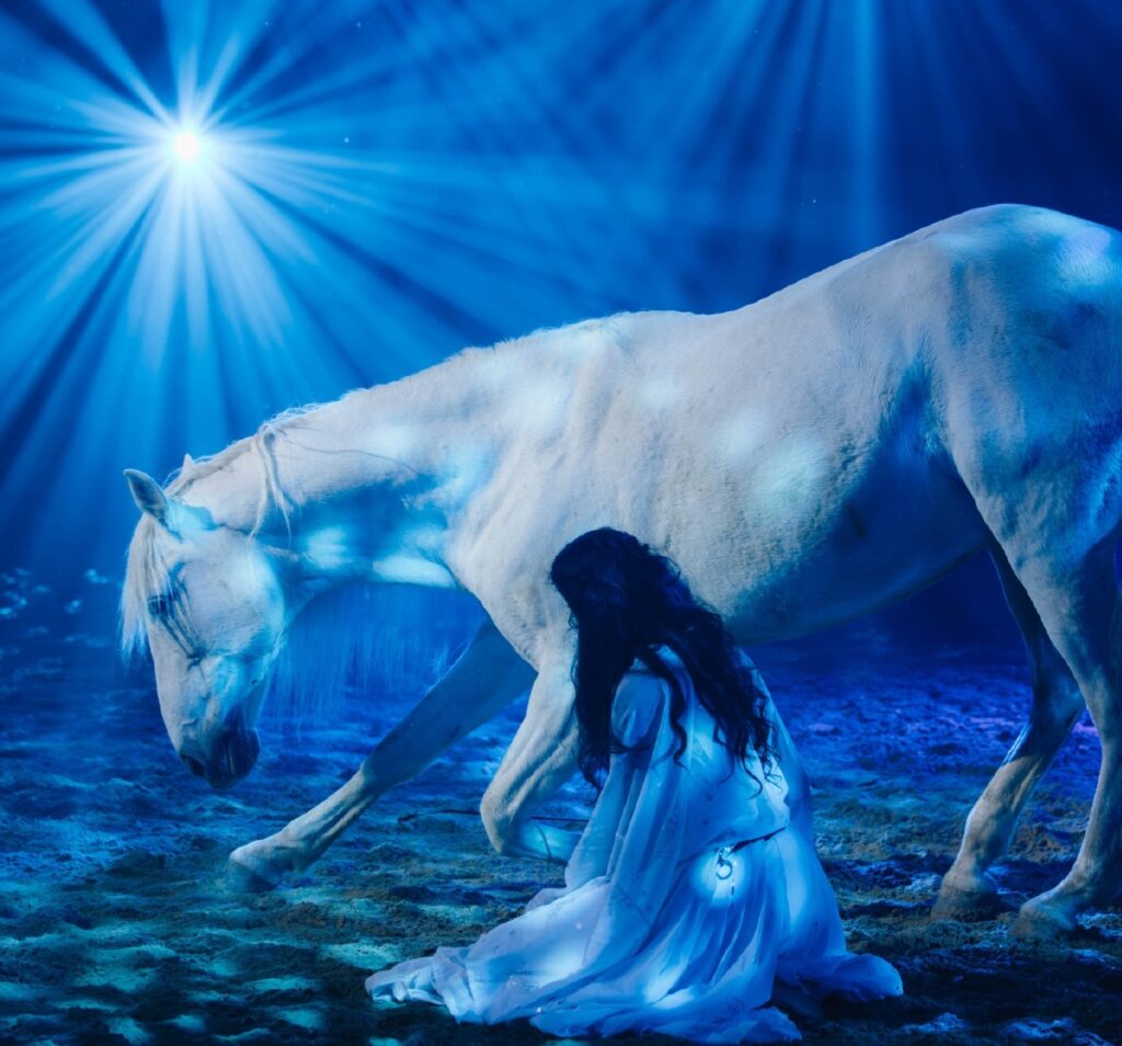 Liège > Flémalle > Spectacle Equestre > Nova - info-lux.com